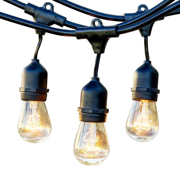 Newhouse Lighting 48ft Outdoor Edison Hanging String Lights with 15 ...