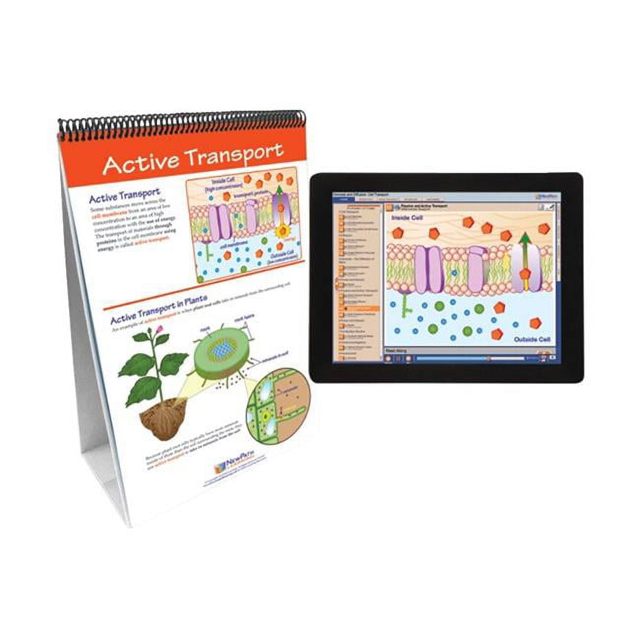 Newpath 2026448 Learning Osmosis & Diffusion Flip Chart with Online ...