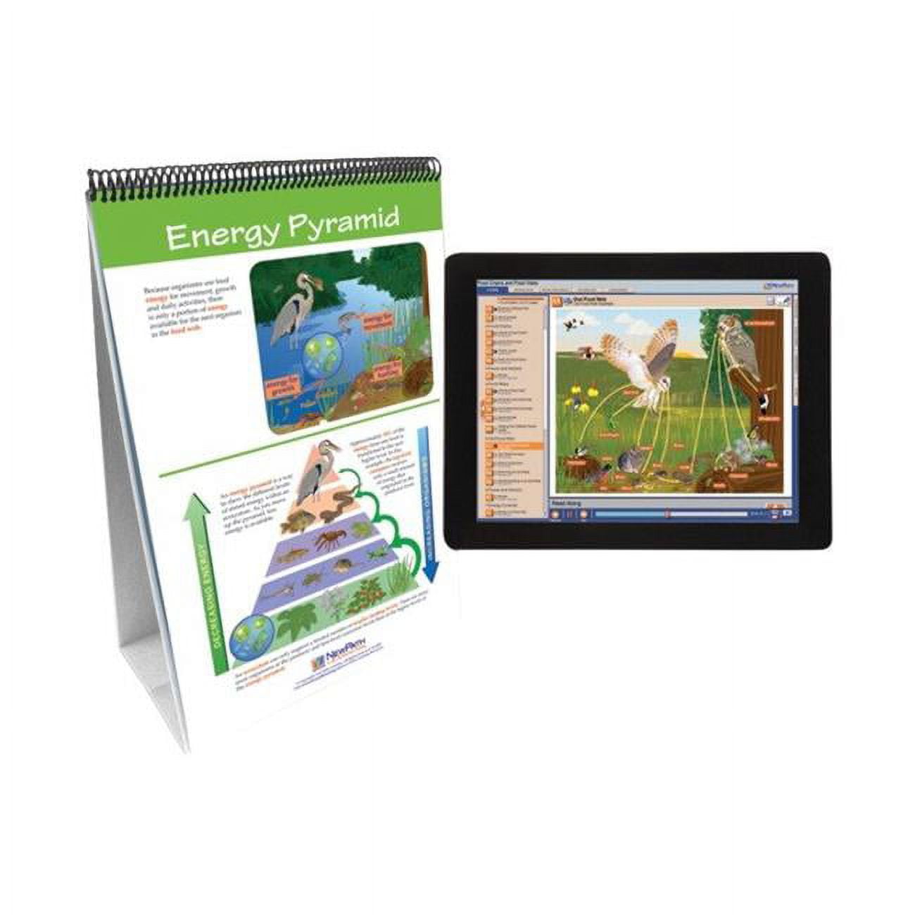 Newpath 2026452 Learning Food Chains & Food Webs Flip Chart with Online ...