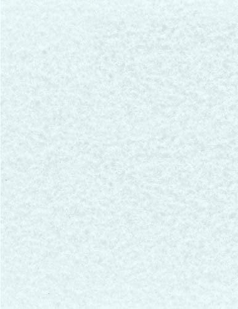 NextParch 8-1/2" x 11" Letter Size 65 lb. Parchment Cover Card Stock ...