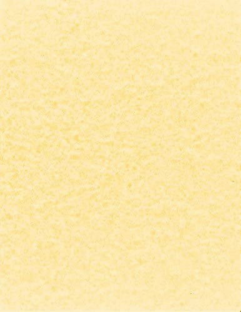 NextParch 8-1/2" x 11" Letter Size 65 lb. Parchment Cover Card Stock ...