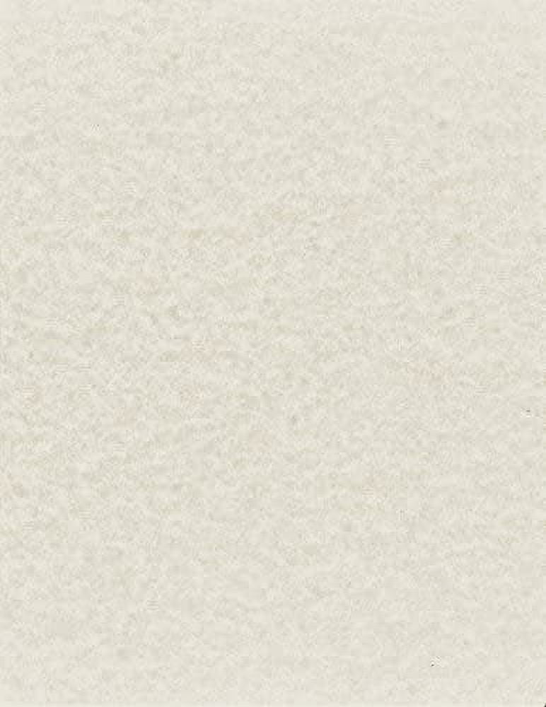 NextParch 8-1/2" x 11" Letter Size 65 lb. Parchment Cover Card Stock ...
