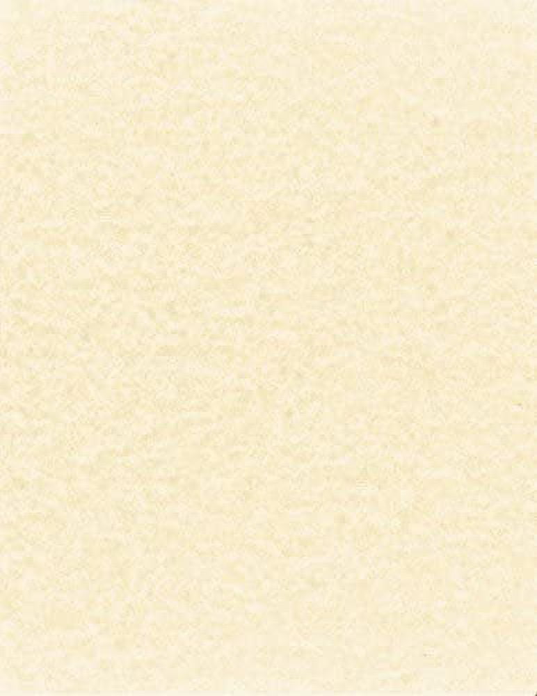 NextParch 8-1/2" x 11" Letter Size 65 lb. Parchment Cover Card Stock ...
