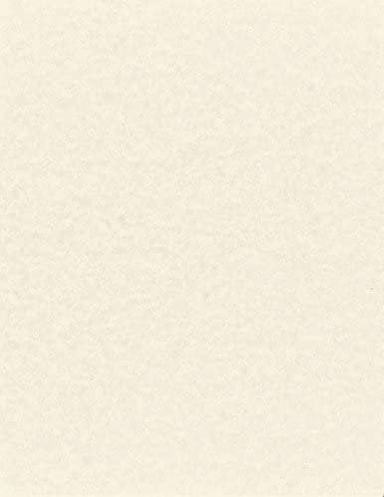 NextParch 8-1/2" x 11" Letter Size 65 lb. Parchment Cover Card Stock ...