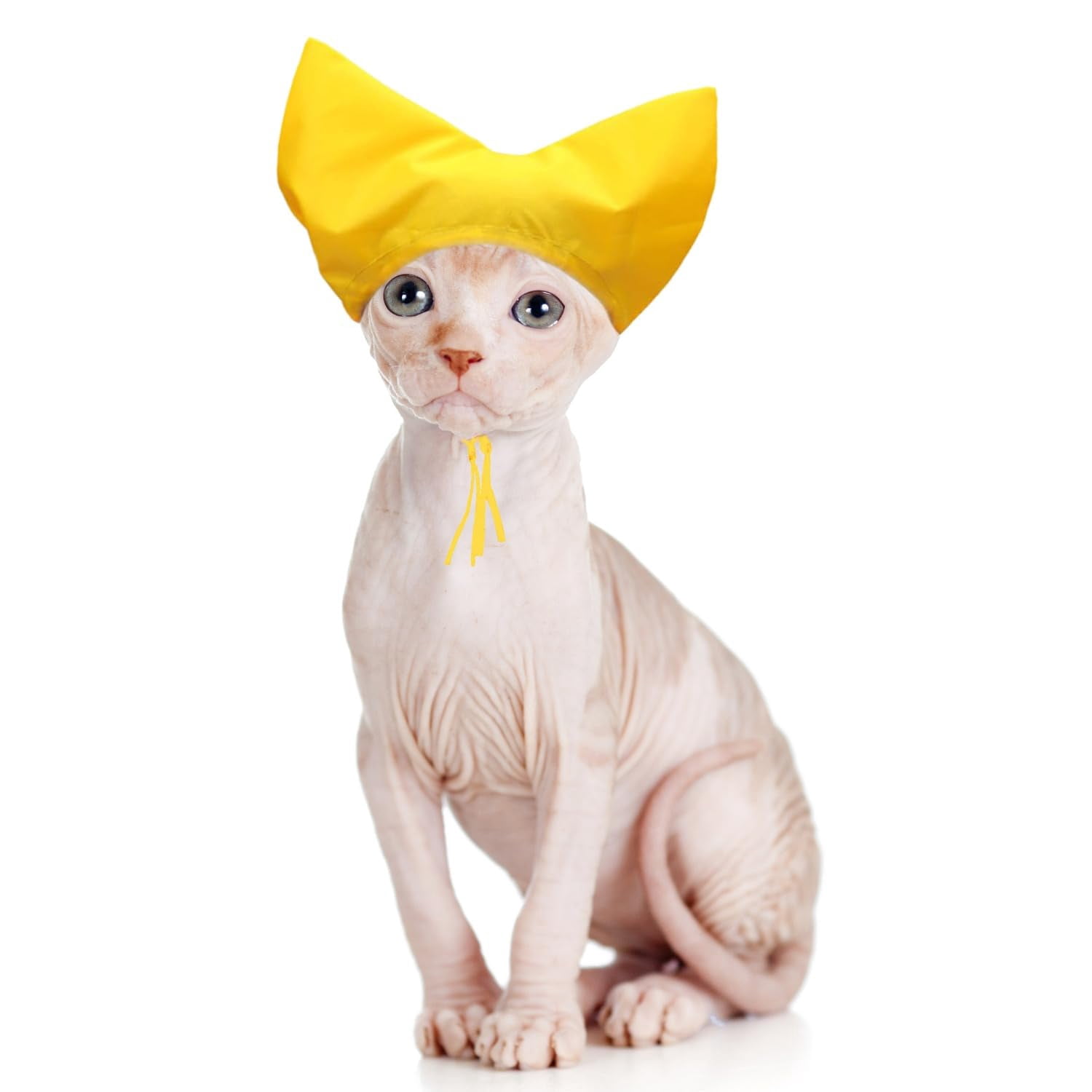 Nextone Pet Shower Cap for House Cats Small Dogs Puppy, Yellow ...