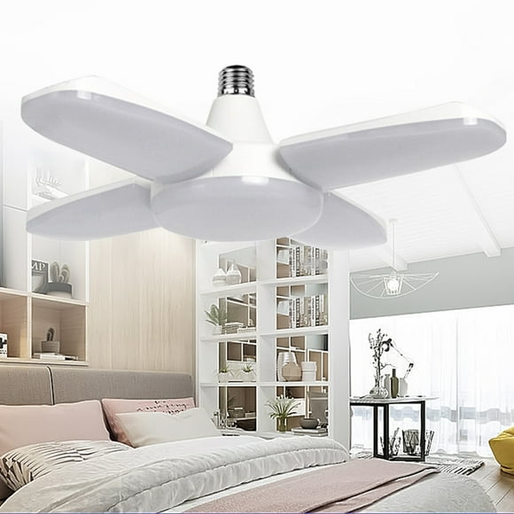 Lighting Low Ceiling Basement