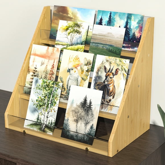 Greeting Card Organizer