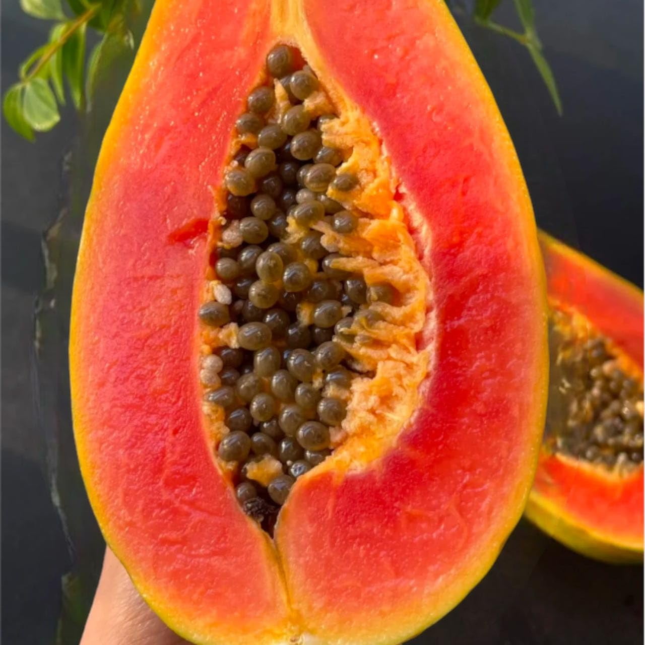 NiRwa 50pcs Red AJH3 Heart Creamy Papaya Seeds - The Best of Papayas ...
