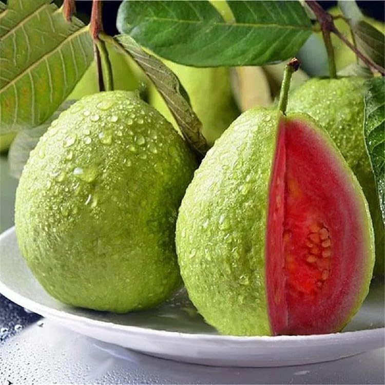 NiRwa 50pcs Tropical AJH3 Strawberry Guava Organic Pink Guava Seeds ...