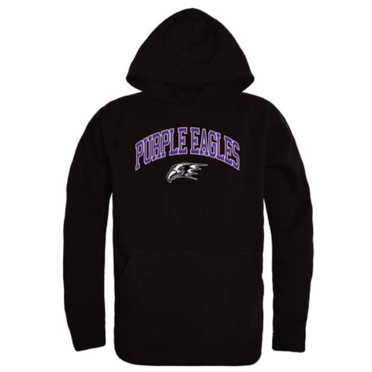 Niagara University Purple Eagles Campus Hoodie, Black - Extra Large ...