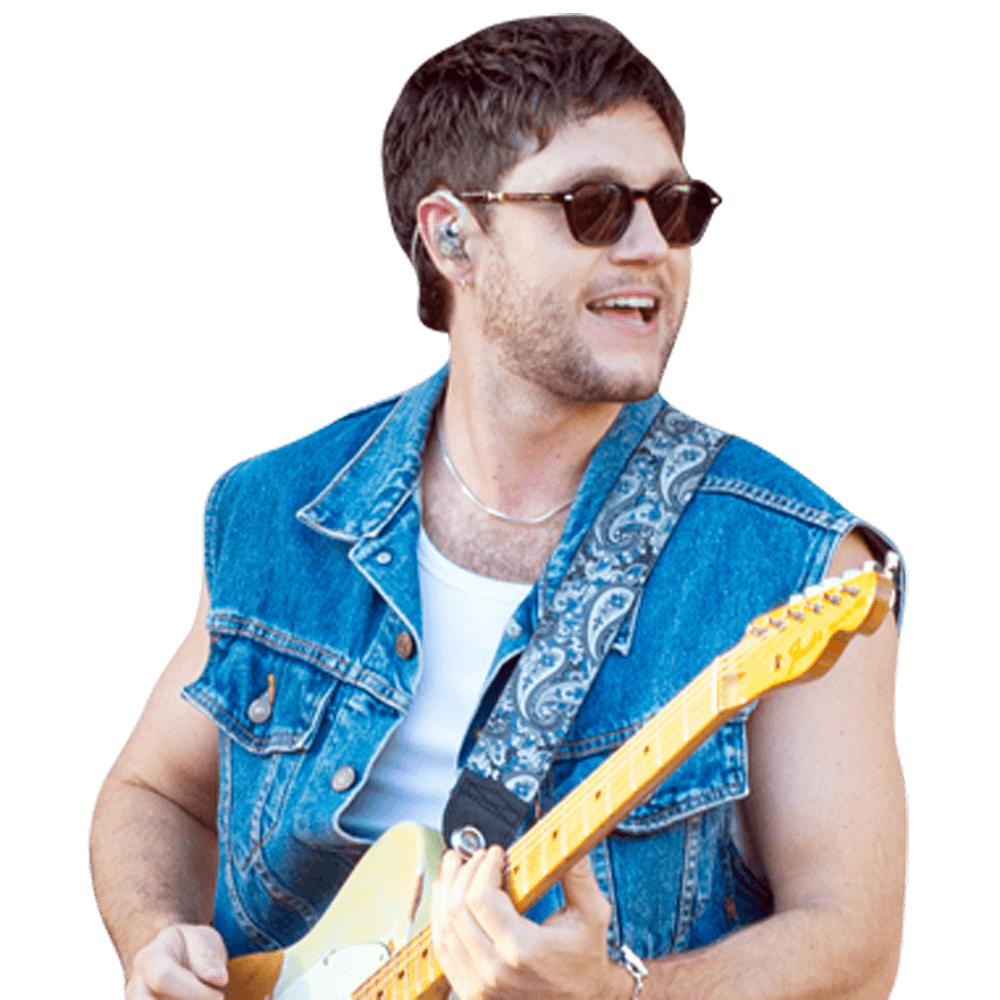 Niall Horan (Guitar) Half Body Buddy Cutout - Walmart.com