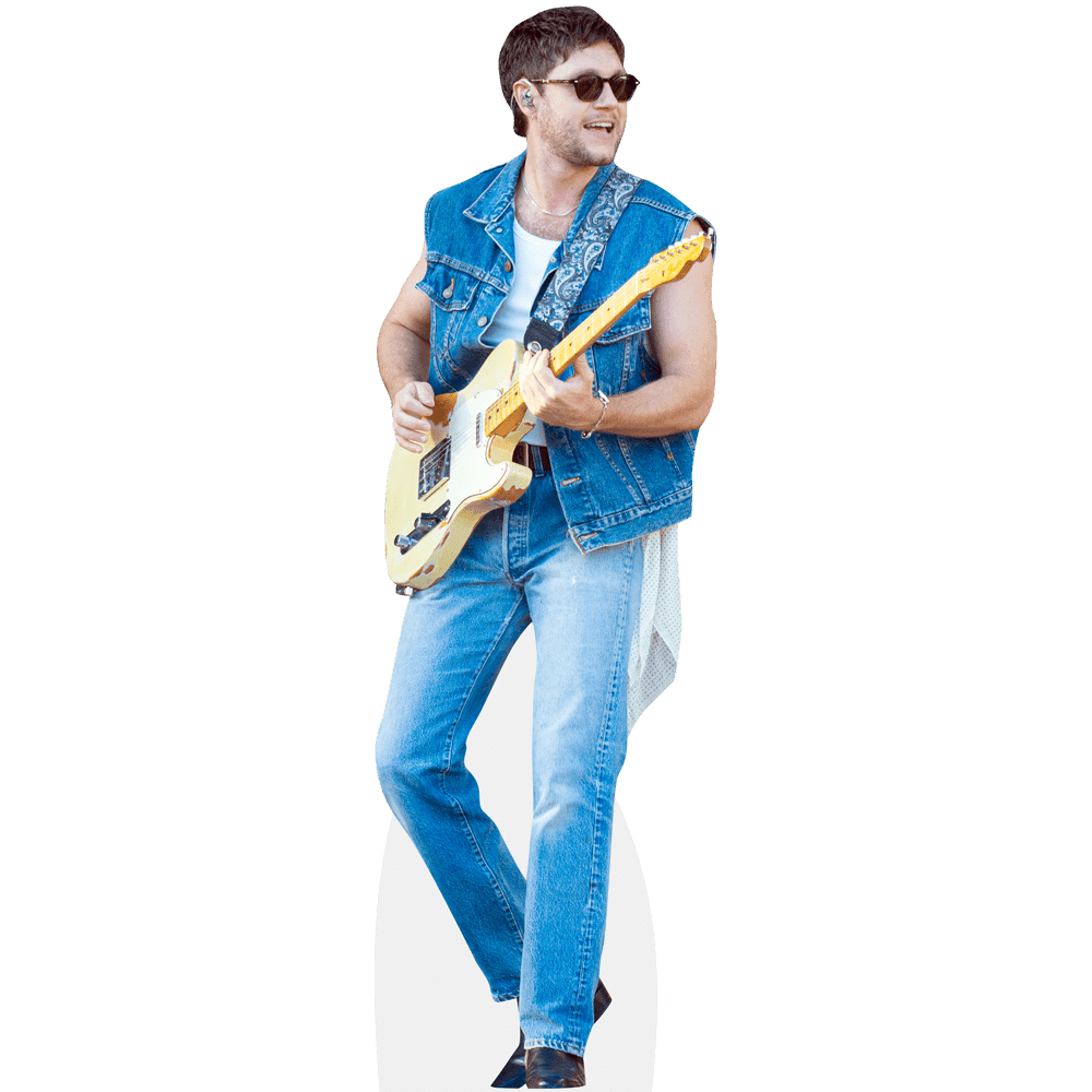 Niall Horan (Guitar) Mini Size Cutout. Standee. - Walmart.com