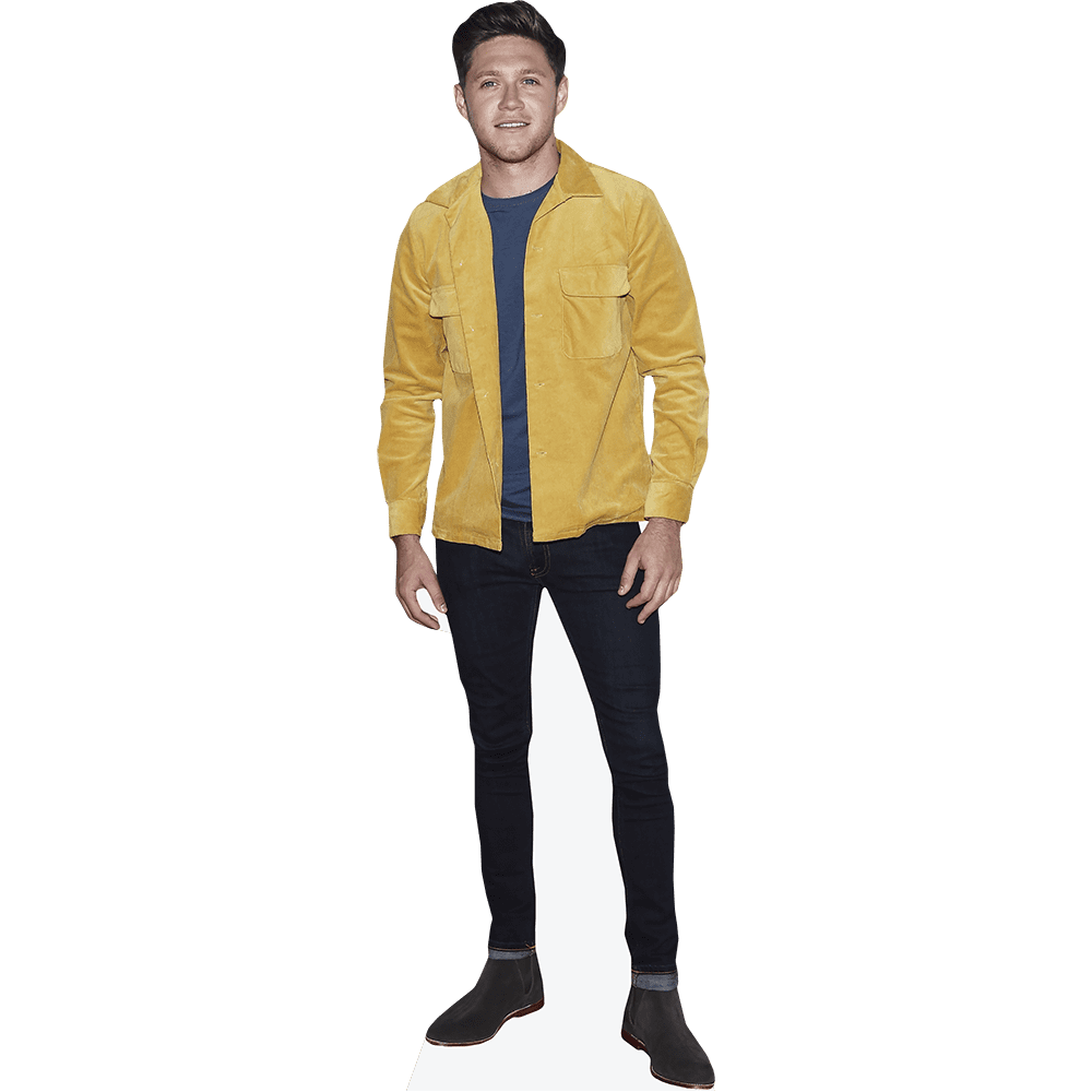 Niall Horan (Yellow Jacket) Lifesize Cardboard Cutout Standee - Walmart.com