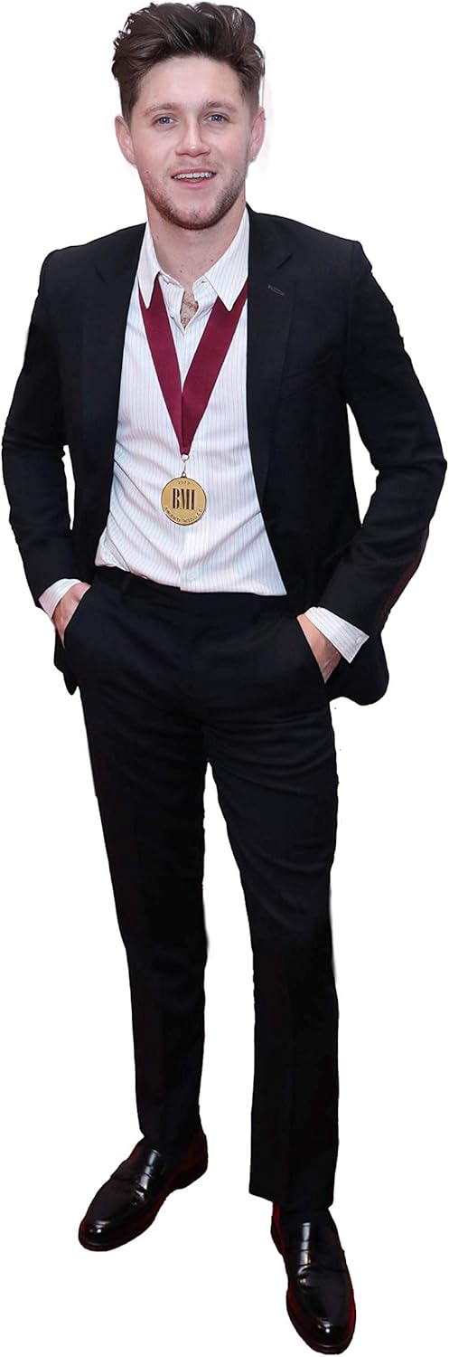Niall LIFESIZE Cardboard Standup Standee Cutout Poster Display ...