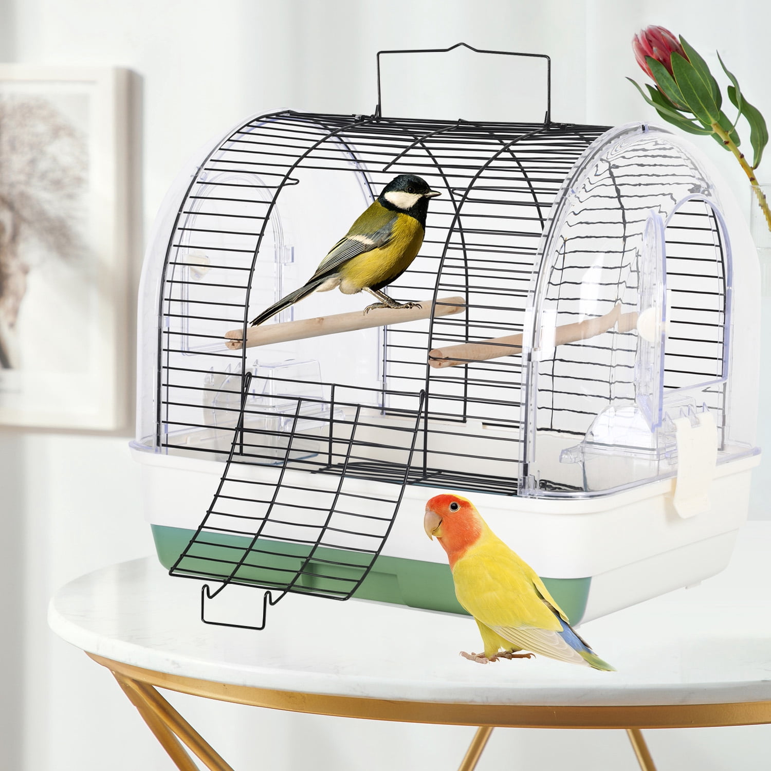 NiamVelo Portable Travel Bird Carrier Cage with Perch Lightweight ...