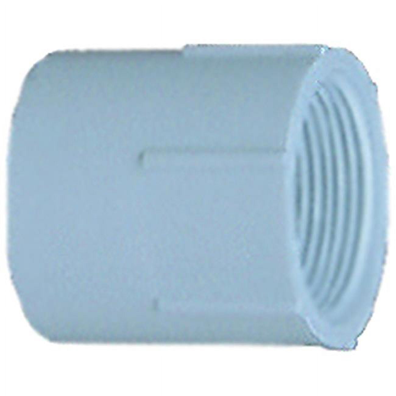 Nibco F01560D 1.25 in. Female PVC Adapter - Walmart.com