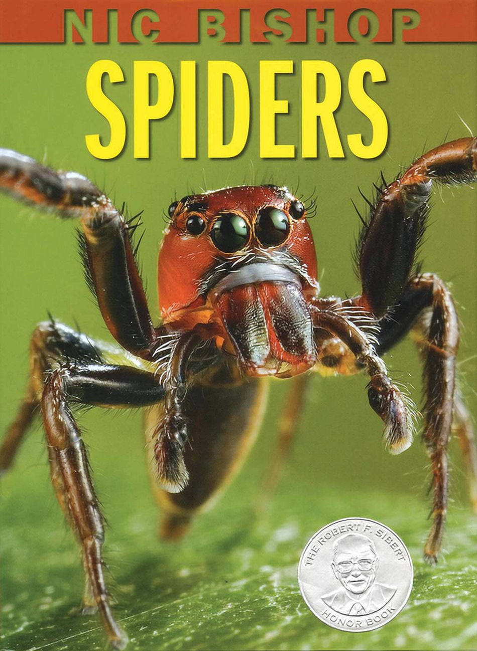 Nic Bishop: Spiders, (Hardcover) - Walmart.com