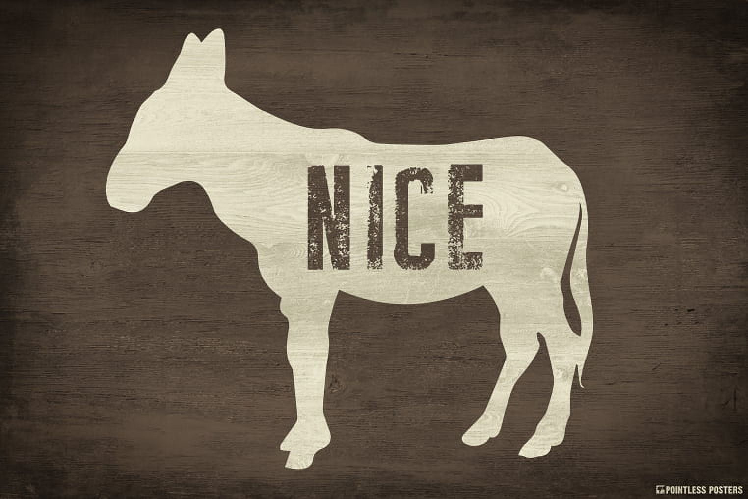 Nice Ass Poster Print - Walmart.com