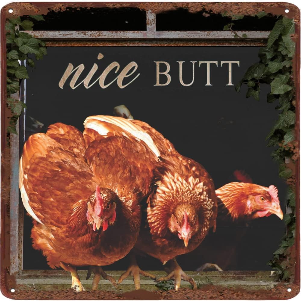 Nice Butt Chicken Vintage Metal Tin Sign Bathroom Wall Decor Iron ...