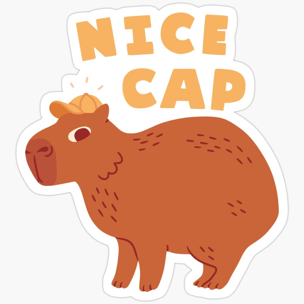 Nice Cap Capybara Sticker Phone Decal Water Bottle Stickers Car Decals ...