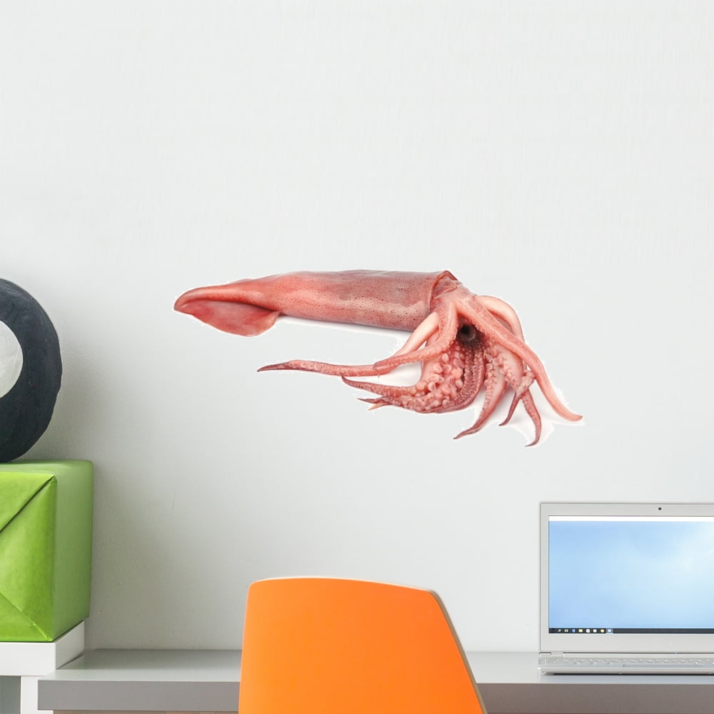 Nice Fresh Squid Wall Mural by Wallmonkeys Peel and Stick Graphic (18 ...