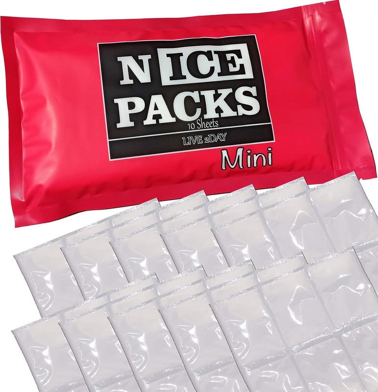 Free Shipping! LIVE 2DAY Large Reusable Flexible Ice Packs for Lunch ...