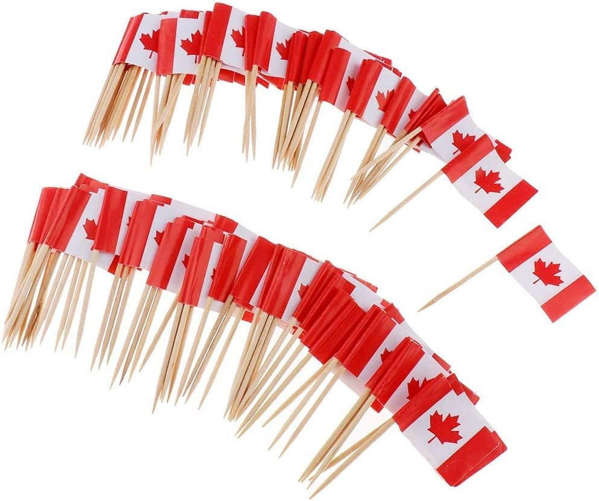 Nice100 Pieces Sheet Canada Flag Picks Mini Fruit Cocktail Food ...