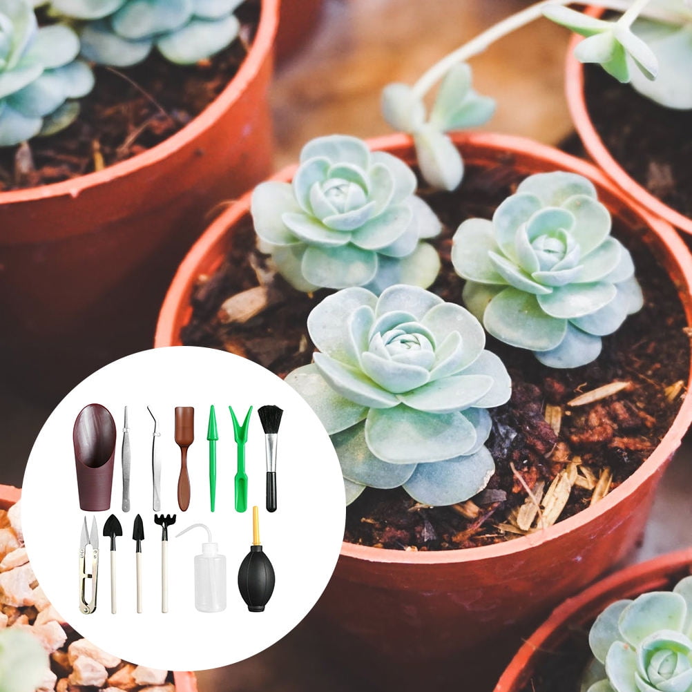 Niceauty 13Pcs Planting Tools Set in Assorted Colors Ideal for Bonsai ...