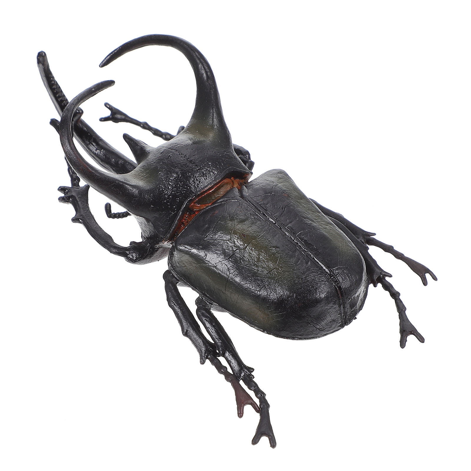Niceauty Black PVC Beetle Model for Kids Lightweight Vivid Details Safe ...