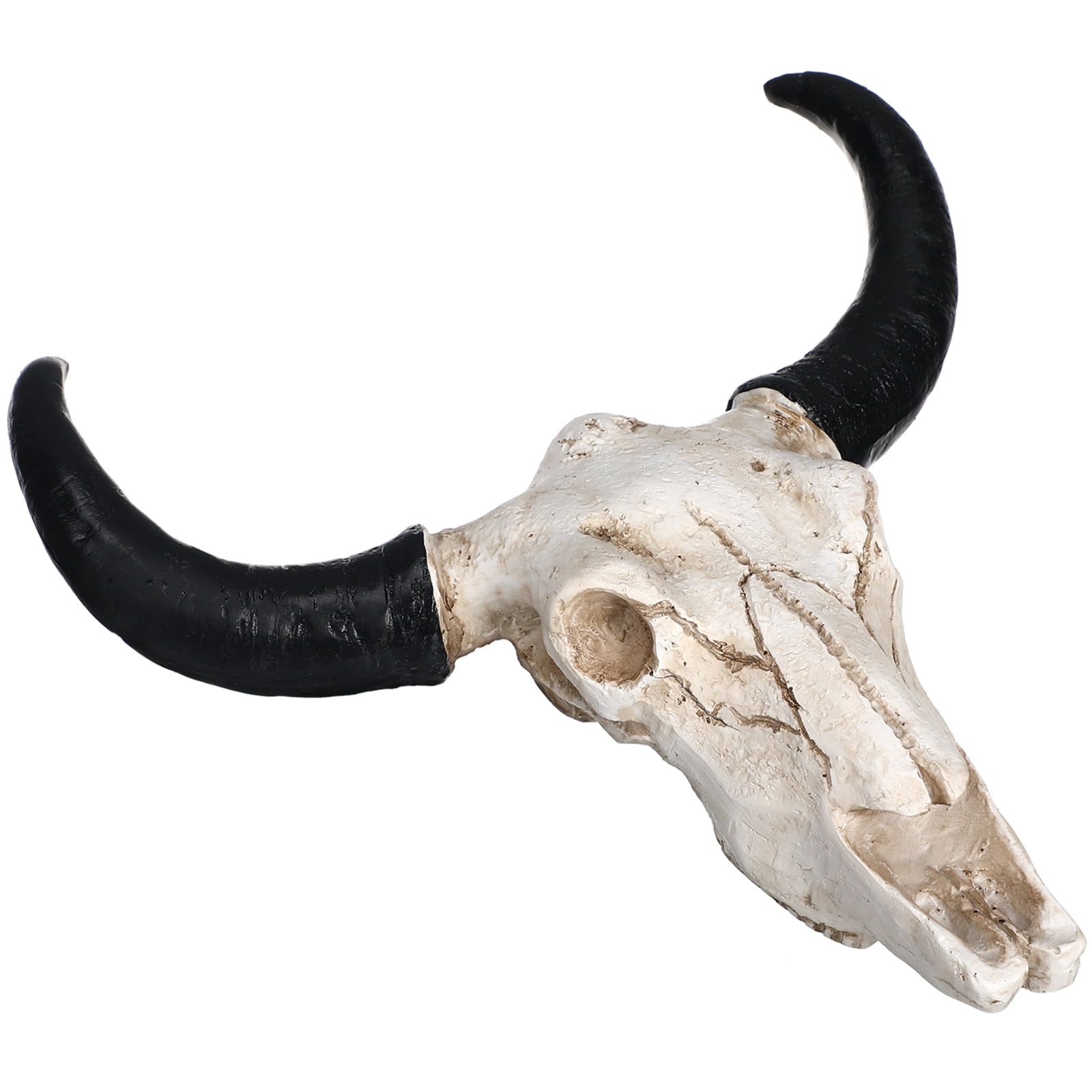 Niceauty Cow Skull Wall Hanging White Synthetic Resin Farmhouse Cow ...