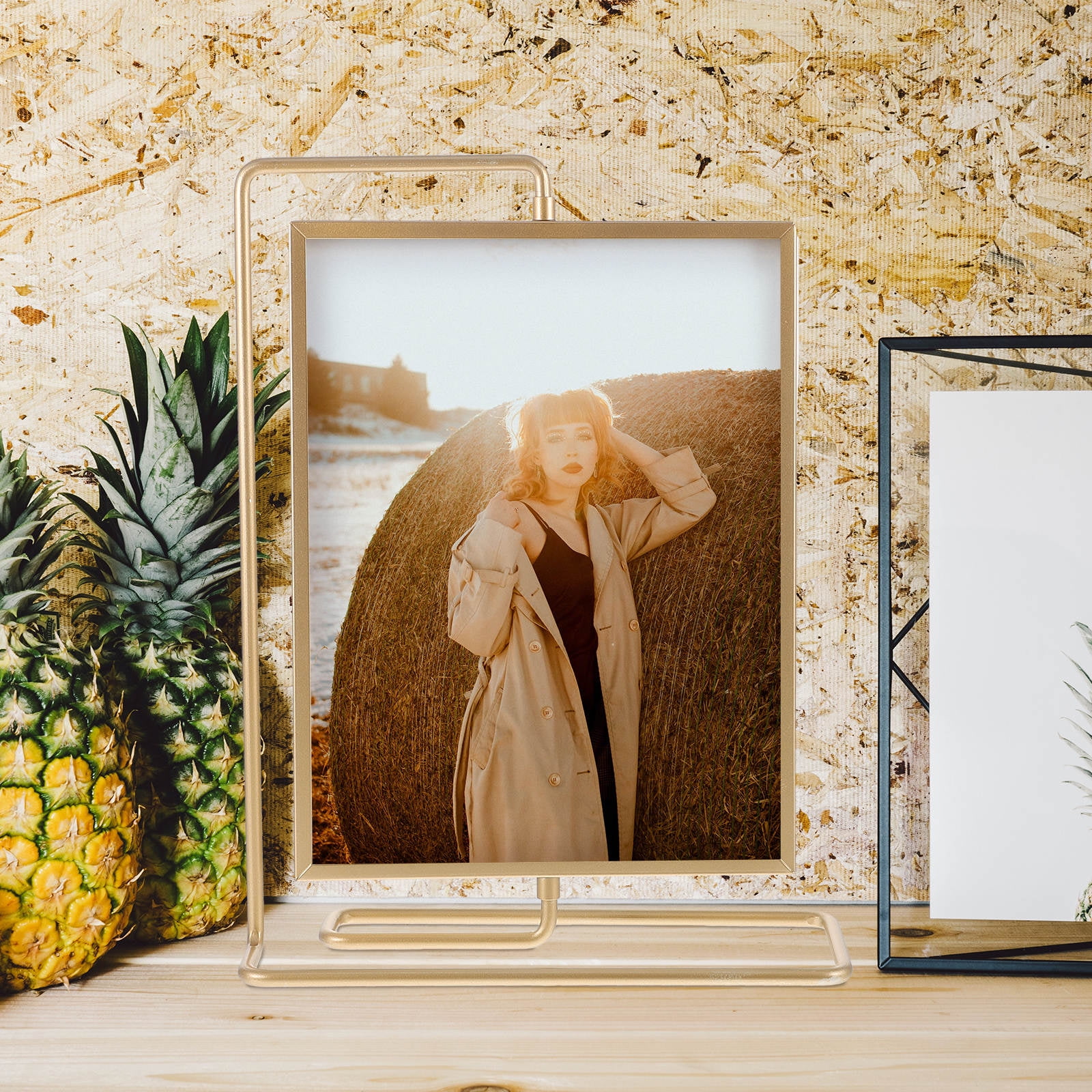 Nicehomfit Stylish Metal Rotating Picture Frame Double Sided for ...