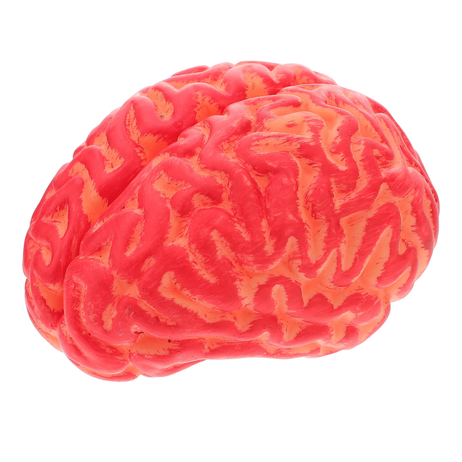 Nicehomfit 1Set Toys Simulation Blood Brain Red 3D Shape Vinyl PP ...