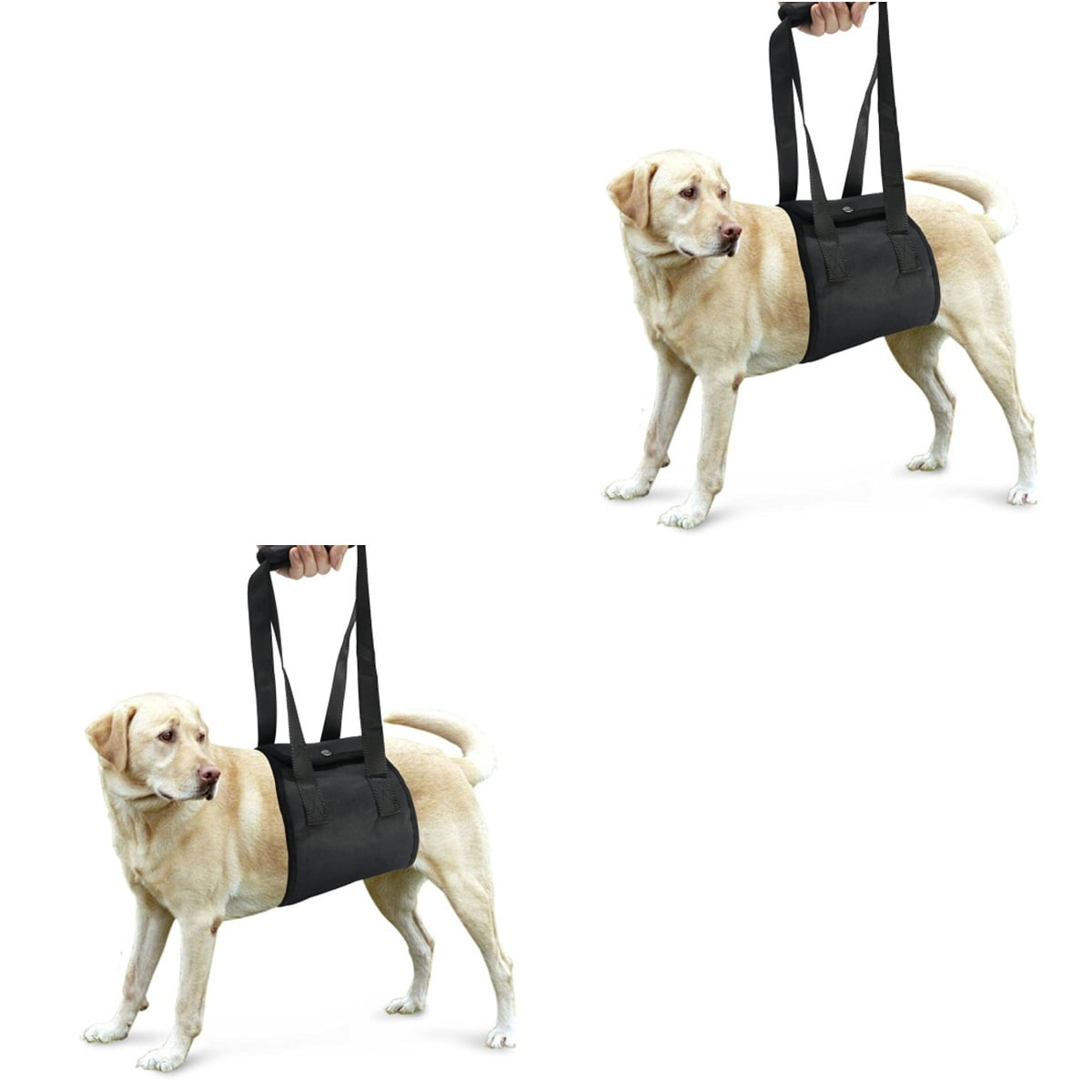 Nicehomfit 2pcs Dog Support & Rehabilitation Harness for Canine Aid ...