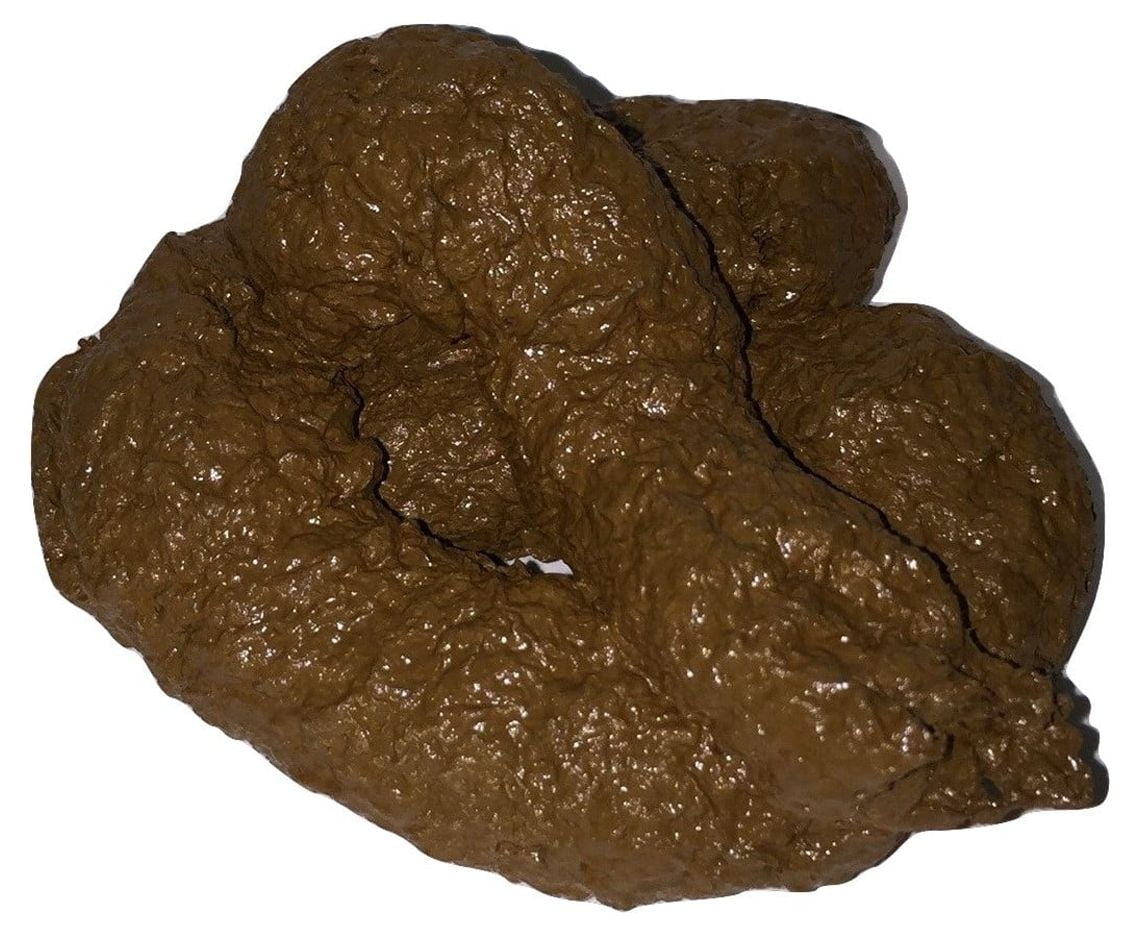 Nicky Bigs Novelties Funny Fake Dog Doo Dirt Deluxe Toy - Walmart.com