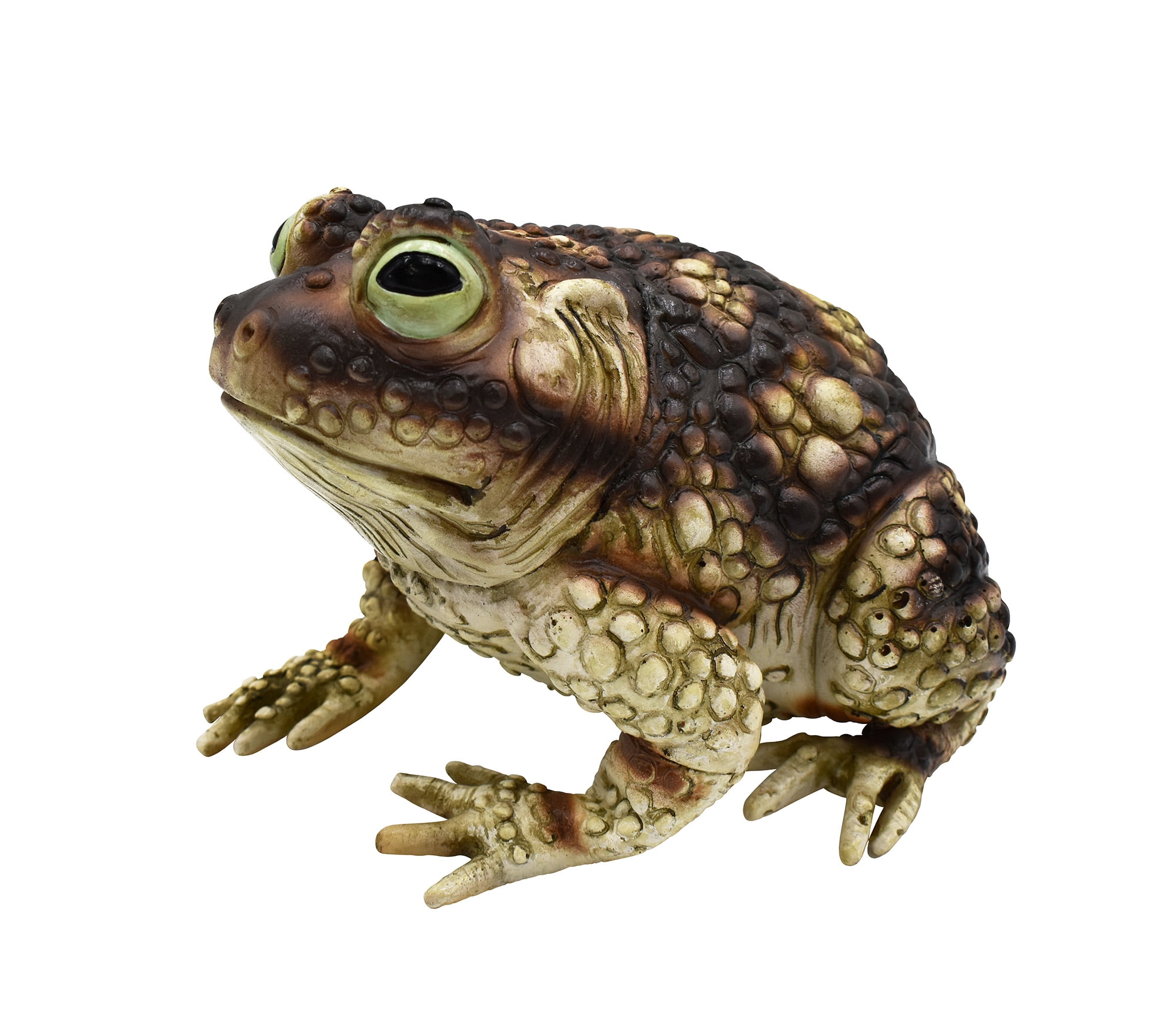 Nicky Bigs Novelties Realistic Giant Latex Frog/Toad Prop, Multi, 10 ...