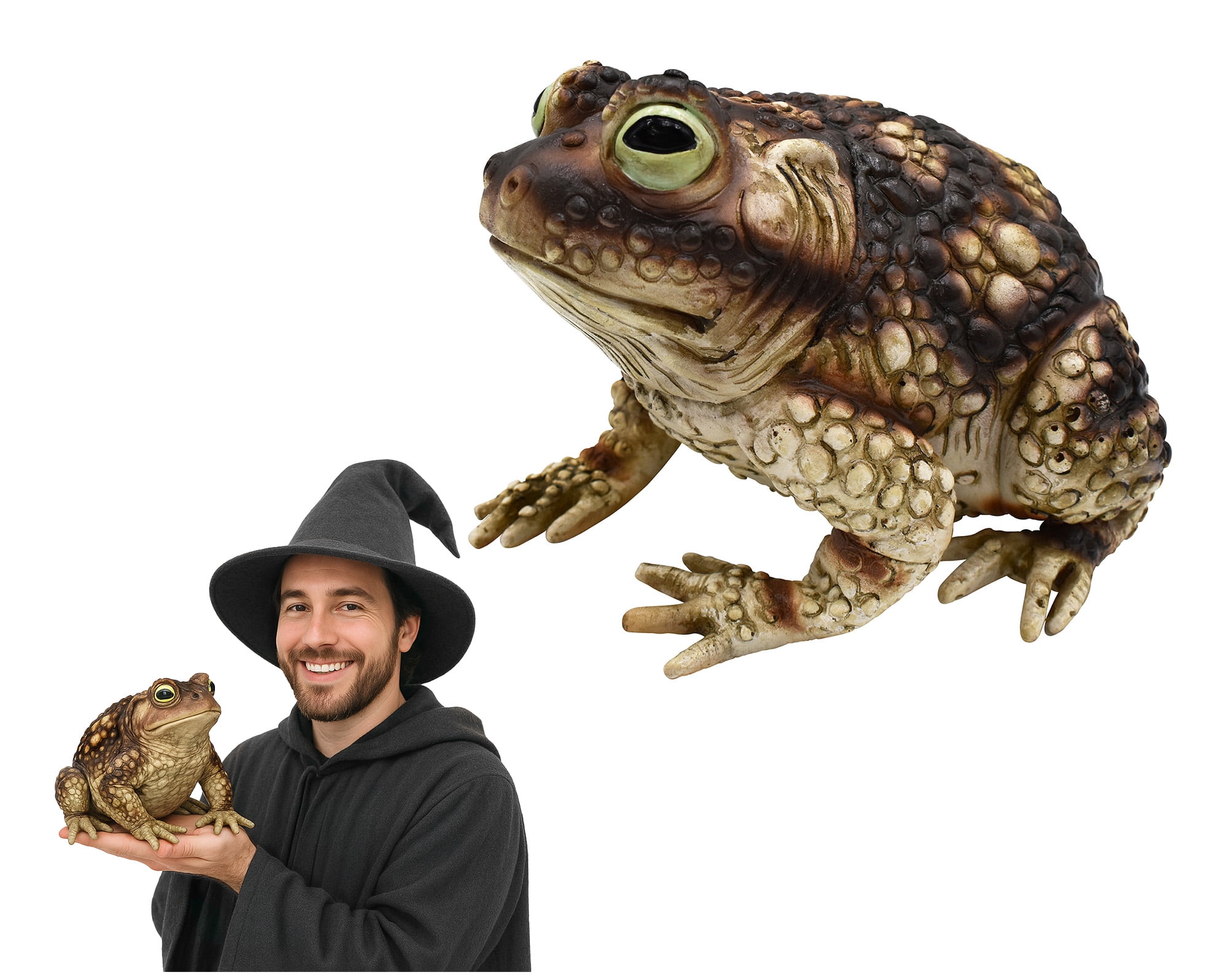 Nicky Bigs Novelties Realistic Giant Latex Frog/Toad Prop, Multi, 10 ...