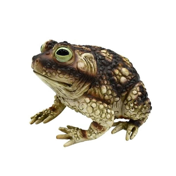 Nicky Bigs Novelties Giant Rubber Toad Prop Statue - Fake Frog Animal ...