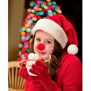 Rudolph Red Nose Light