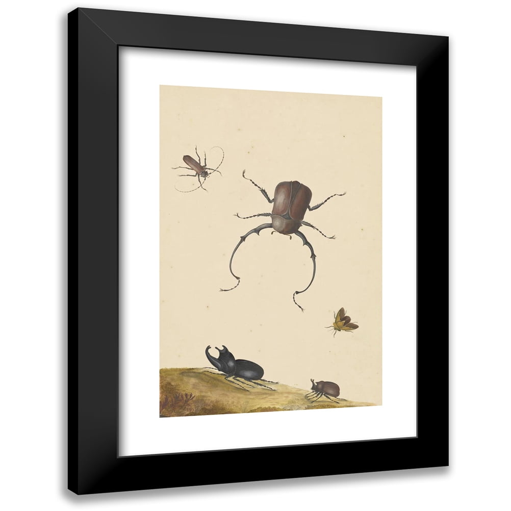 Nicolaas Struyk 13x18 Black Modern Framed Museum Art Print Titled ...