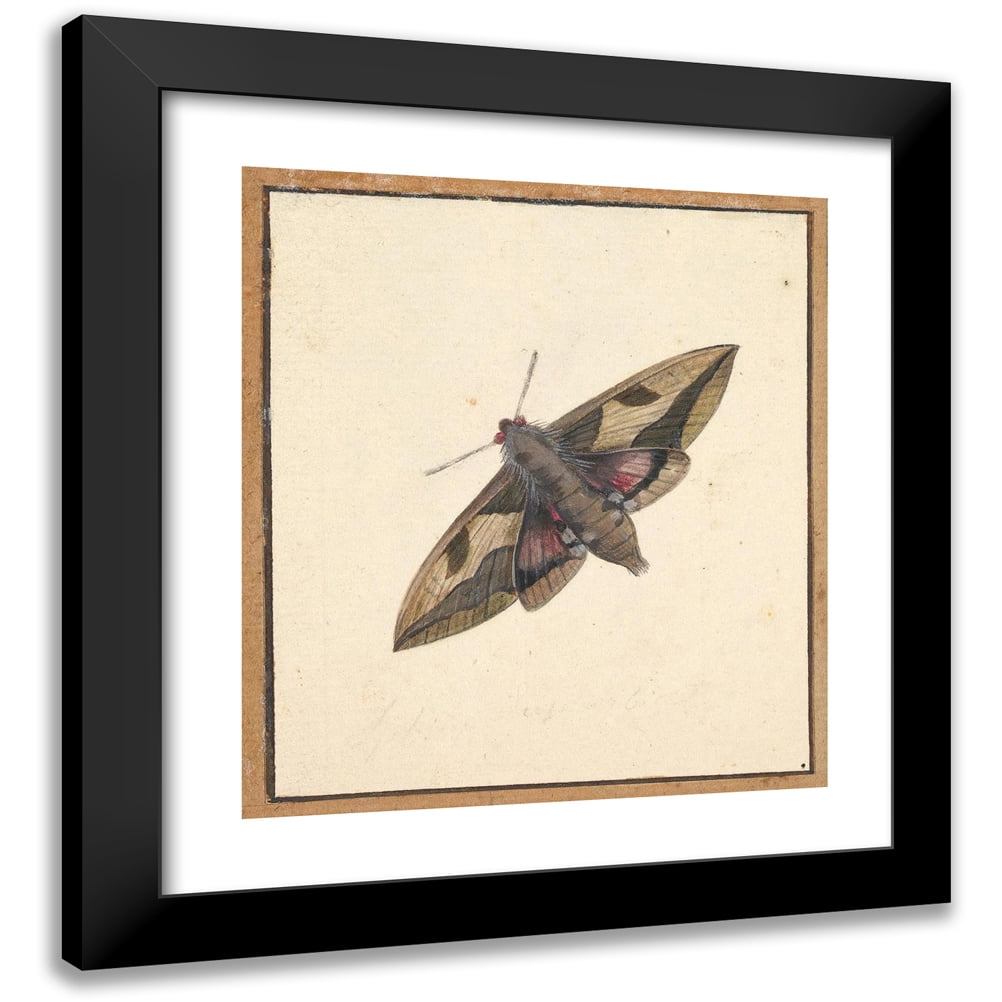 Nicolaas Struyk 20x22 Black Modern Framed Museum Art Print Titled - A ...
