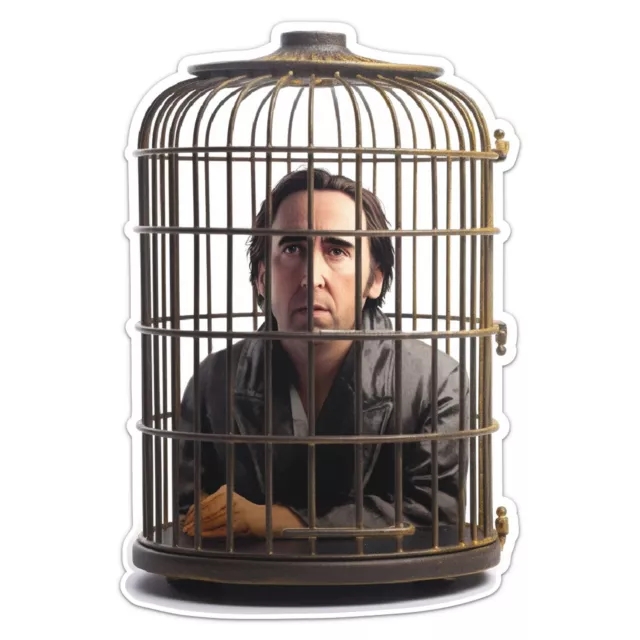 Nicolas Cage In A Cage Sticker Phone Decal Water Bottle Stickers Car ...
