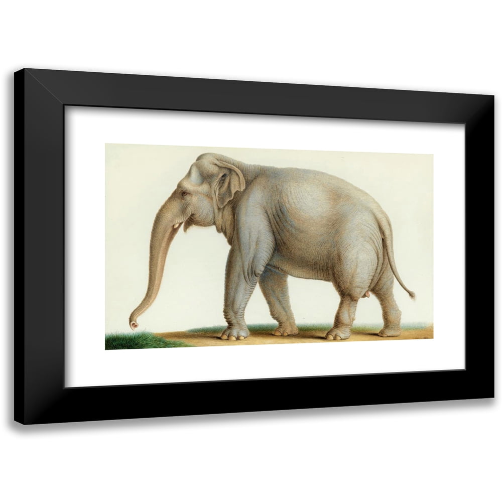 Nicolas Huet The Younger 14x11 Black Modern Framed Museum Art Print ...