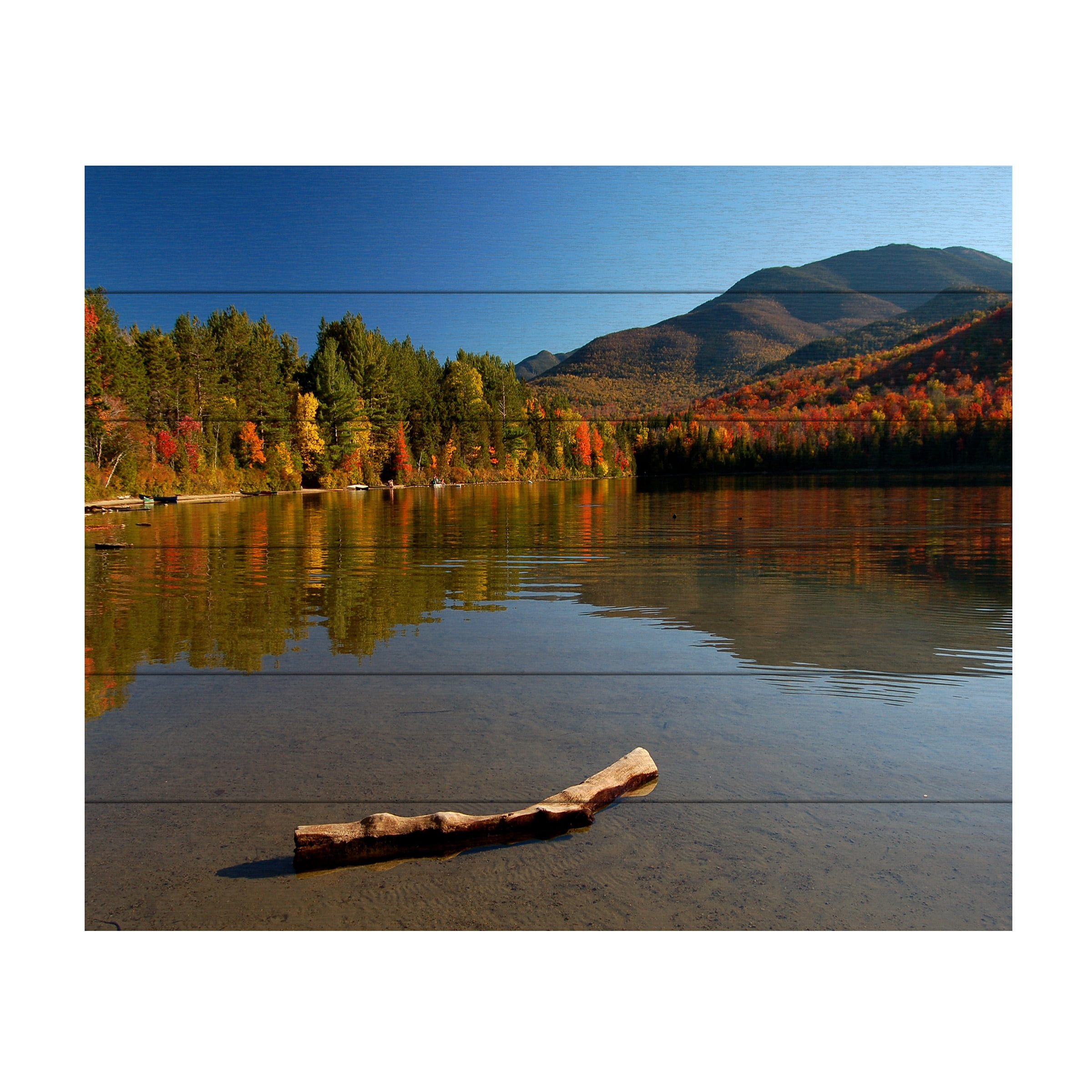 Nicole Dietz 'The Adirondack Driftwood' Wood Slat Art 18x22 - Walmart.com