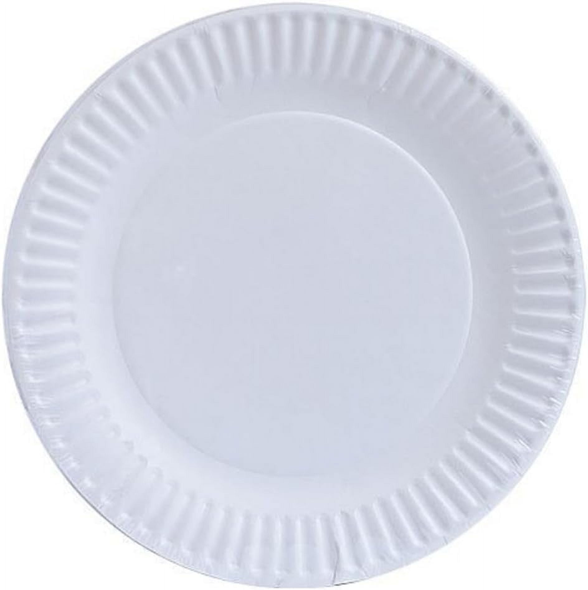 Nicole Home Collection 100 Count Everyday Dinnerware Paper Plate, 6 ...