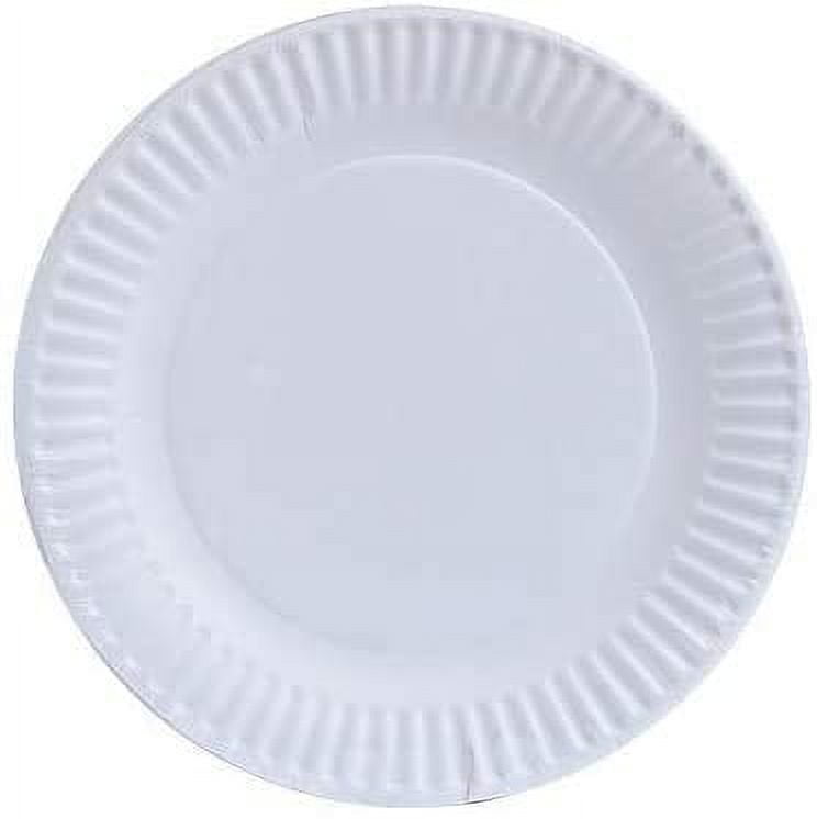 Nicole Home Collection 100 MSF2 Count Everyday Dinnerware Paper Plate ...