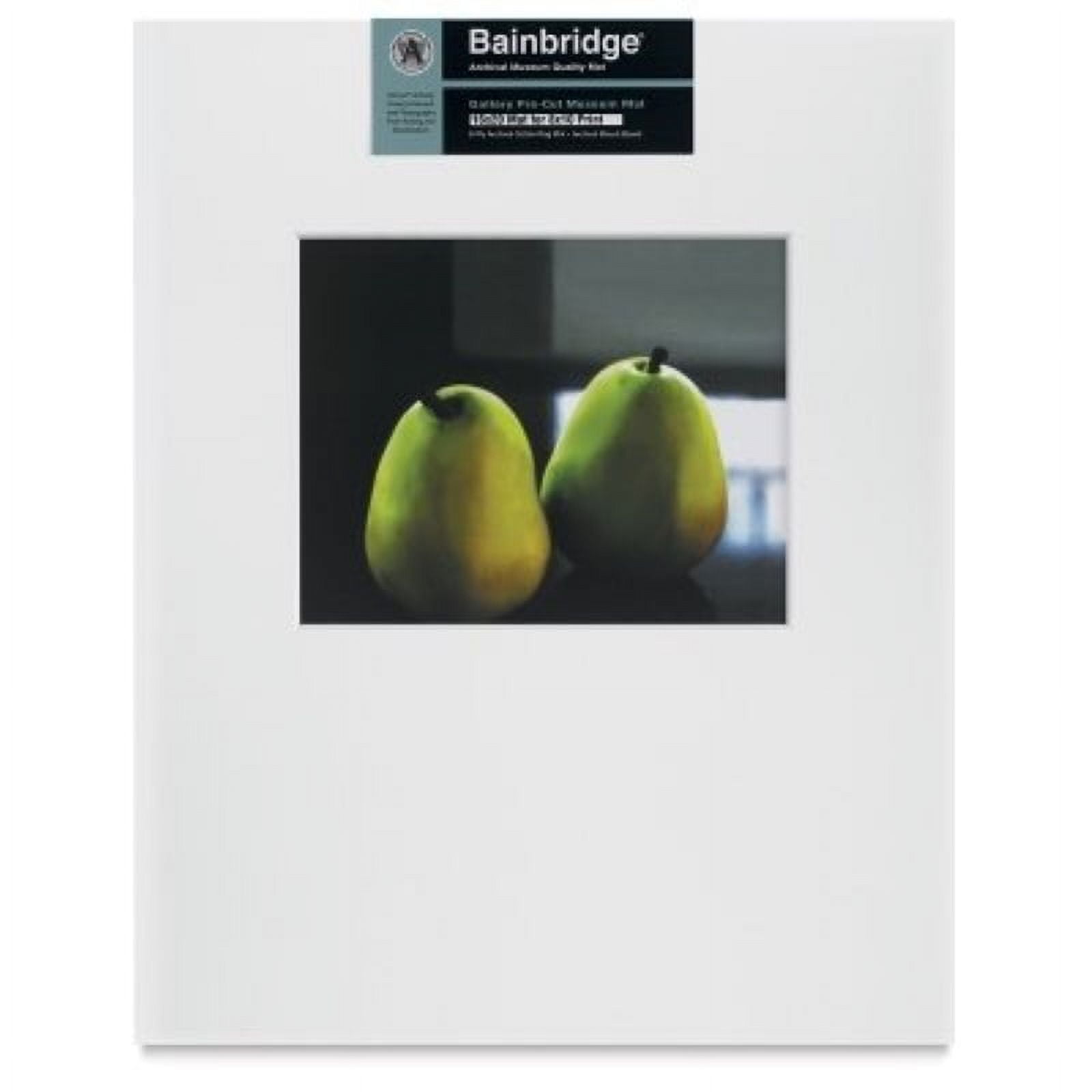 Nielsen Bainbridge 16x20 8x10 Mat Classic in Bright-White Landscape ...