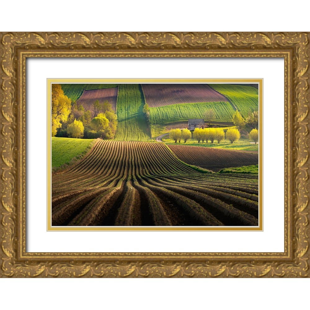 Nienartowicz, Karol 14x11 Gold Ornate Wood Framed with Double Matting ...