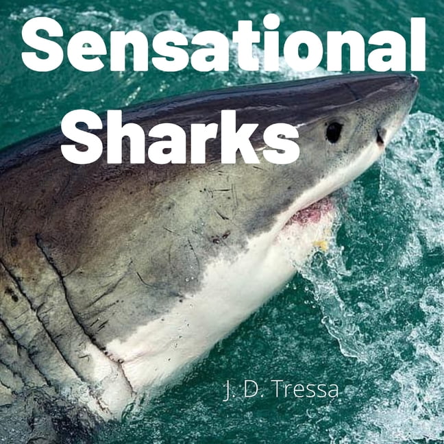 Nifty Nature: Sensational Sharks: Fun Science Facts About Sharks For ...