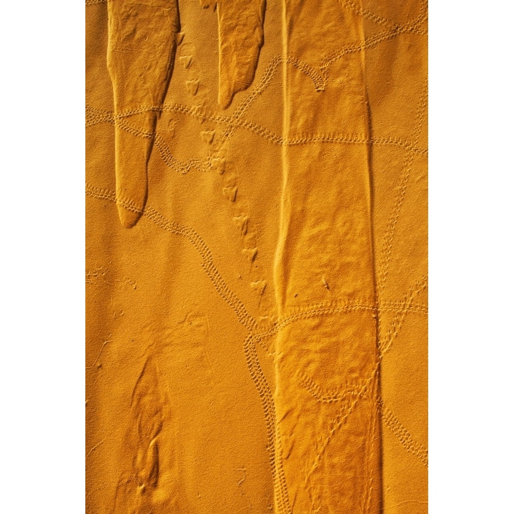 Niger Sahara Desert; Northern Niger Patterns and animal tracks on sand ...