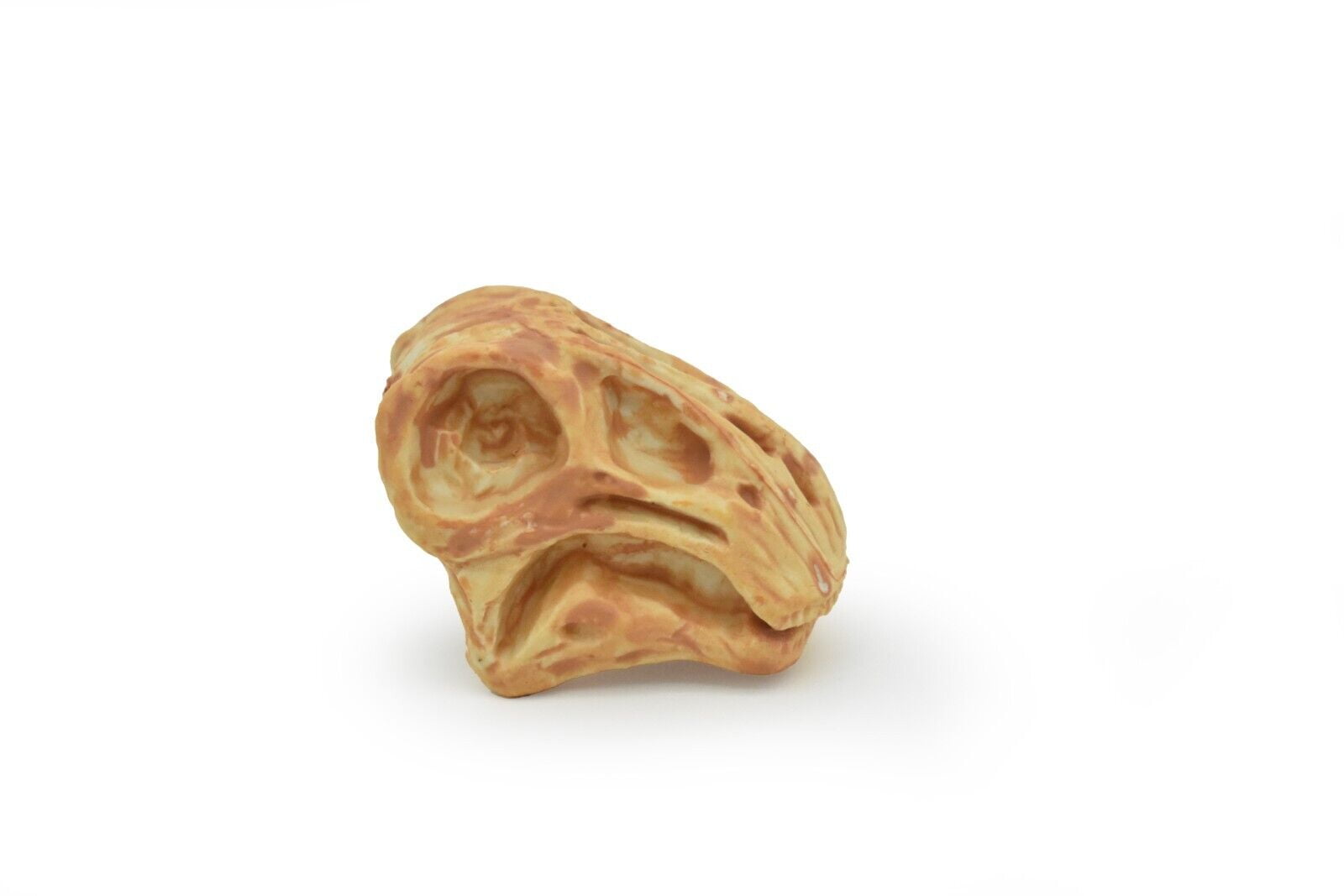 Nigersaurus, Dinosaur Skull Fossil, Very Realistic Rubber Toy Model ...